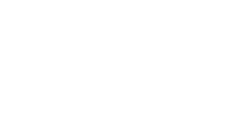 Team – FIGHT CIRCUS
